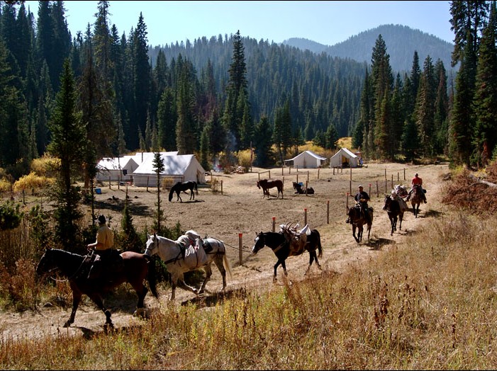 Top Big Game Hunting Ranches for Sale - Live Water Properties