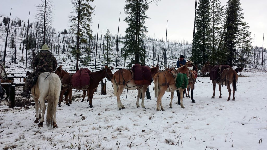 Top Big Game Hunting Ranches for Sale - Live Water Properties