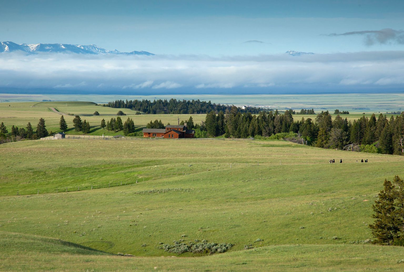 Little Belt Cattle Co | Montana Ranches | Live Water Properties