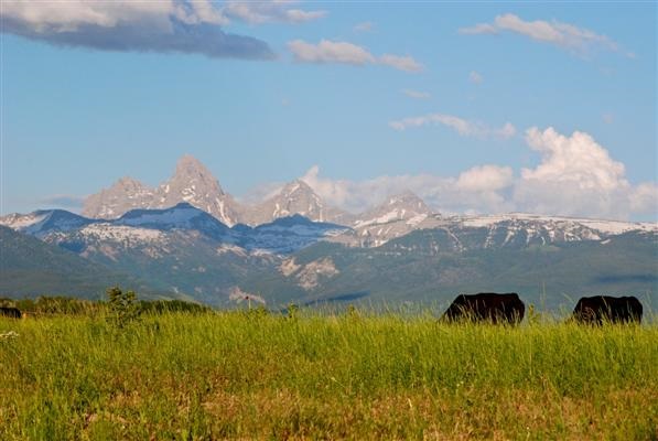 Idaho Cattle Ranches for Sale | Live Water Properties
