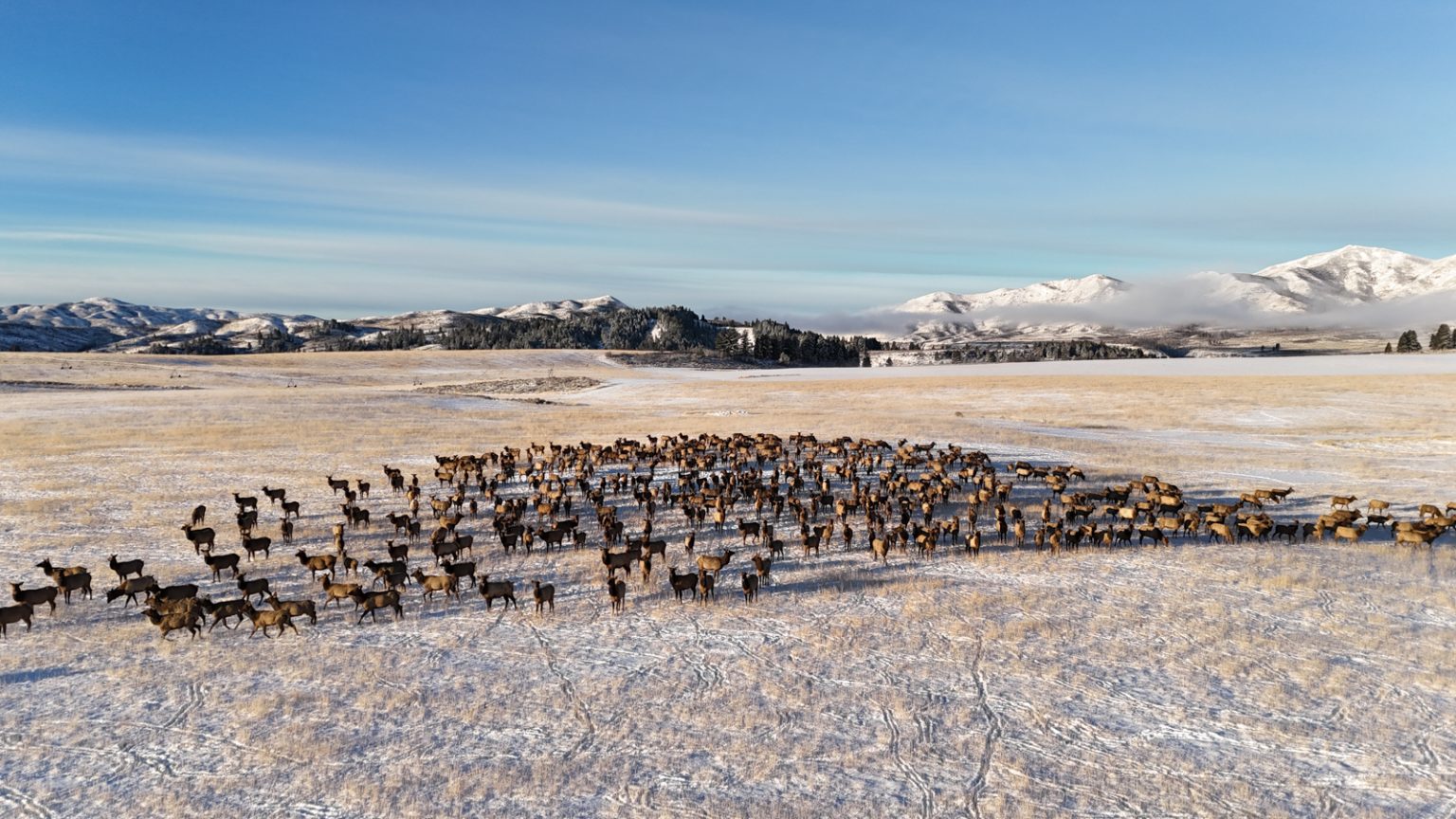 Anderson Ranch - Land & Ranches for Sale in Western & Southeastern ...