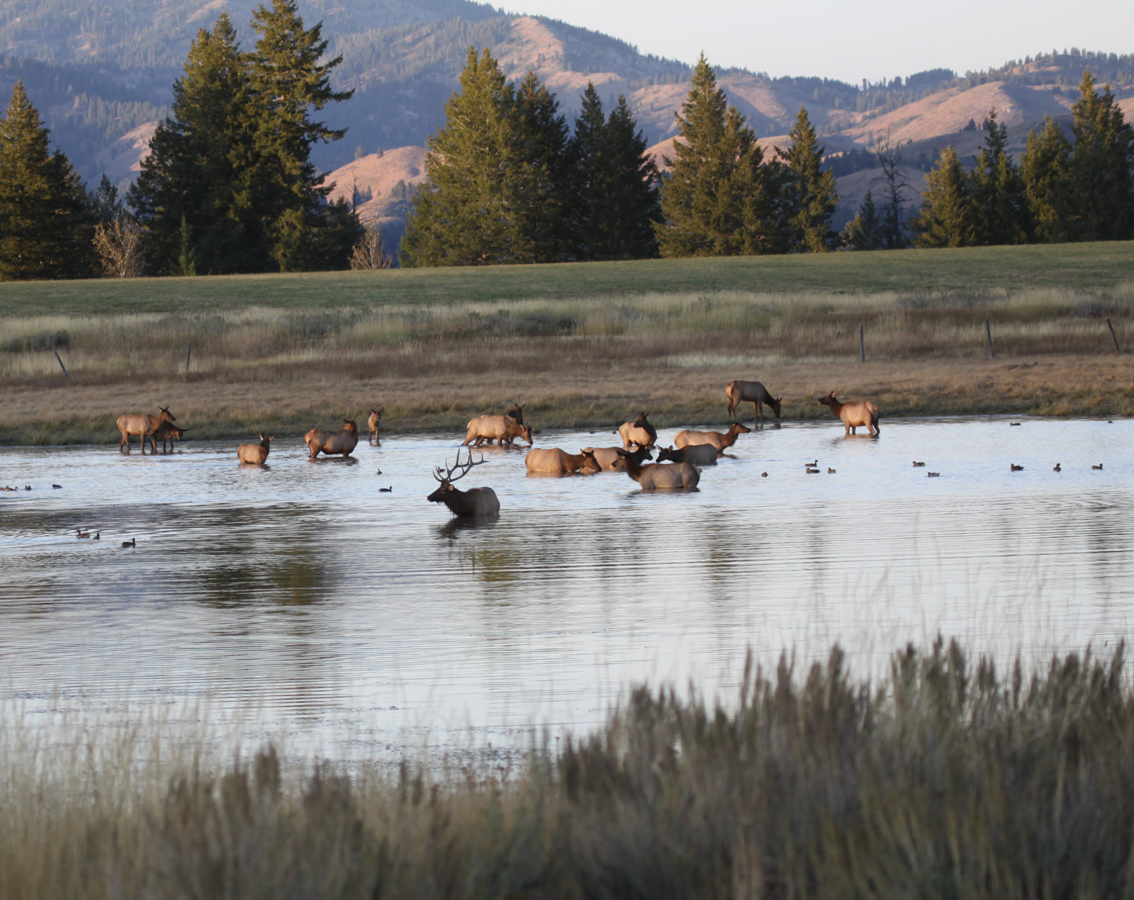 Anderson Ranch - Land & Ranches for Sale in Western & Southeastern ...